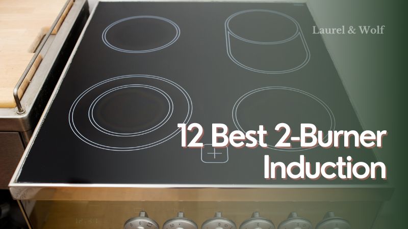 12 Best 2-Burner Induction Cooktops (2024 Reviews)