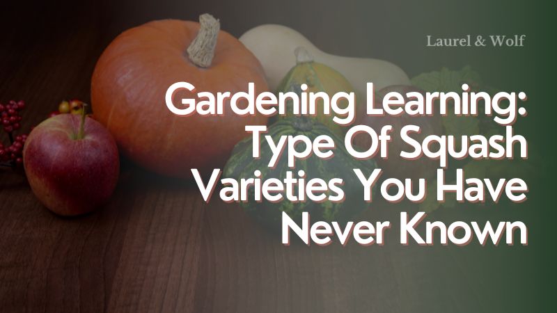Gardening Learning: Type Of Squash Varieties You Have Never Known