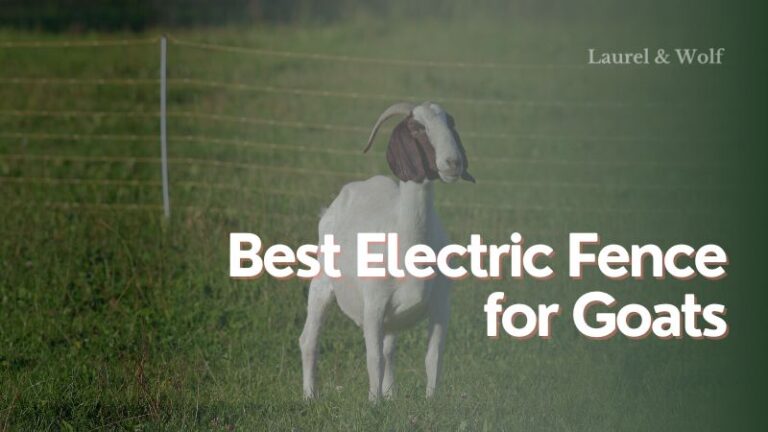 Best Electric Fence for Goats: Top Picks for Keeping Your Goats Safe