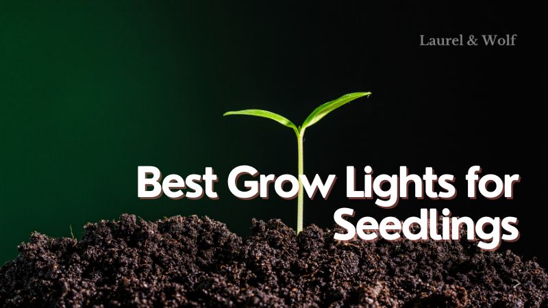 Best Grow Lights for Seedlings: Top Picks for Optimal Growth