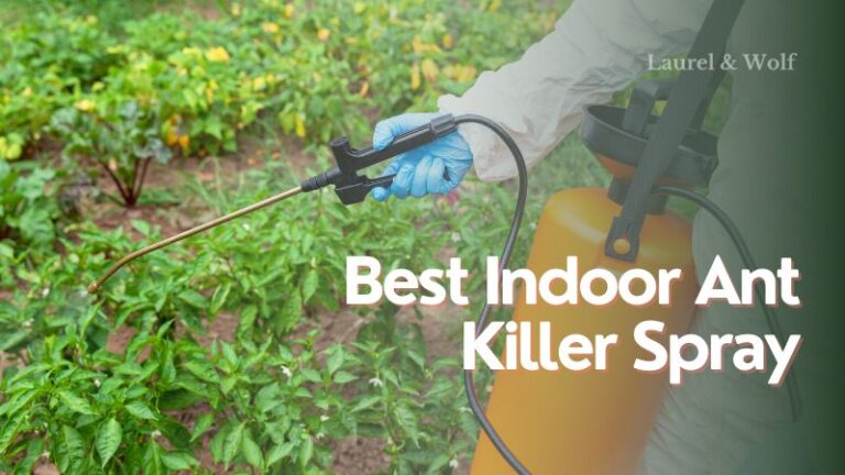 Best Indoor Ant Killer Spray For Your Home