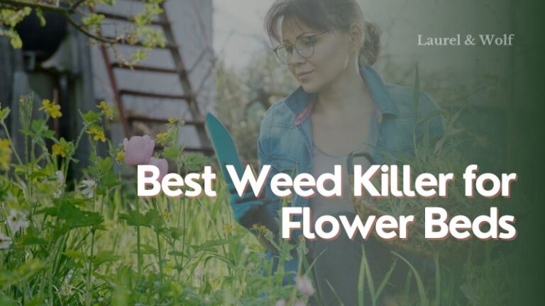 Best Weed Killer for Flower Beds: Top Picks for Effective and Safe ...