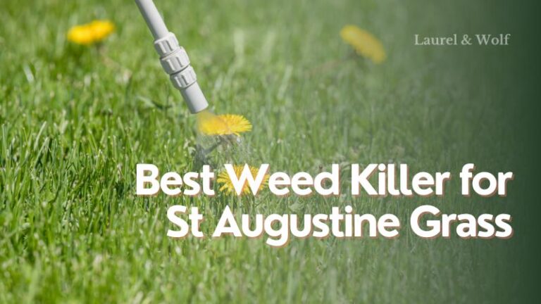Best Weed Killer for St Augustine Grass: Top Picks for a Lush Lawn