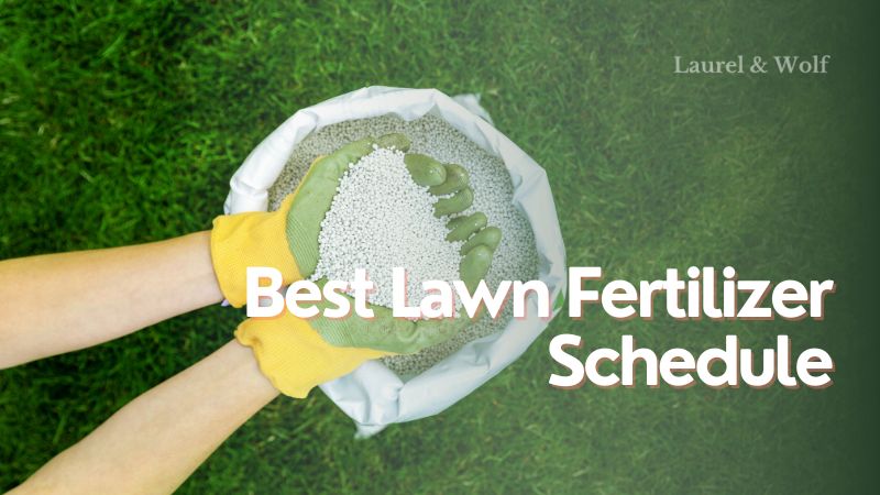 Best Lawn Fertilizer Schedule for a Lush, Green Lawn